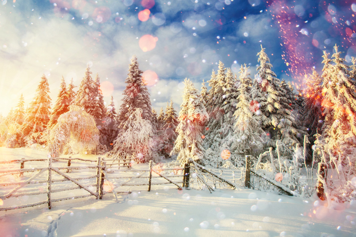 W-I-N-T-E-R: How to Honor Your Grief - Transitions LifeCare